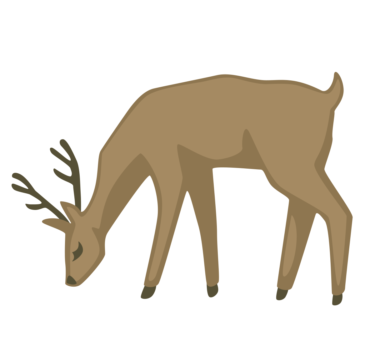 Grazing Reindeer|D-1234525