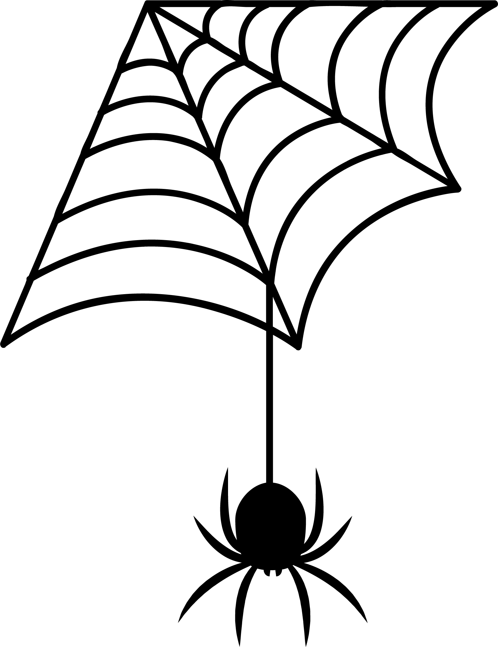 decorative angle spiderweb|Silhouette Design Store