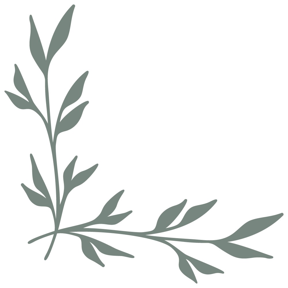 Botanical Corner Border|D-1233156