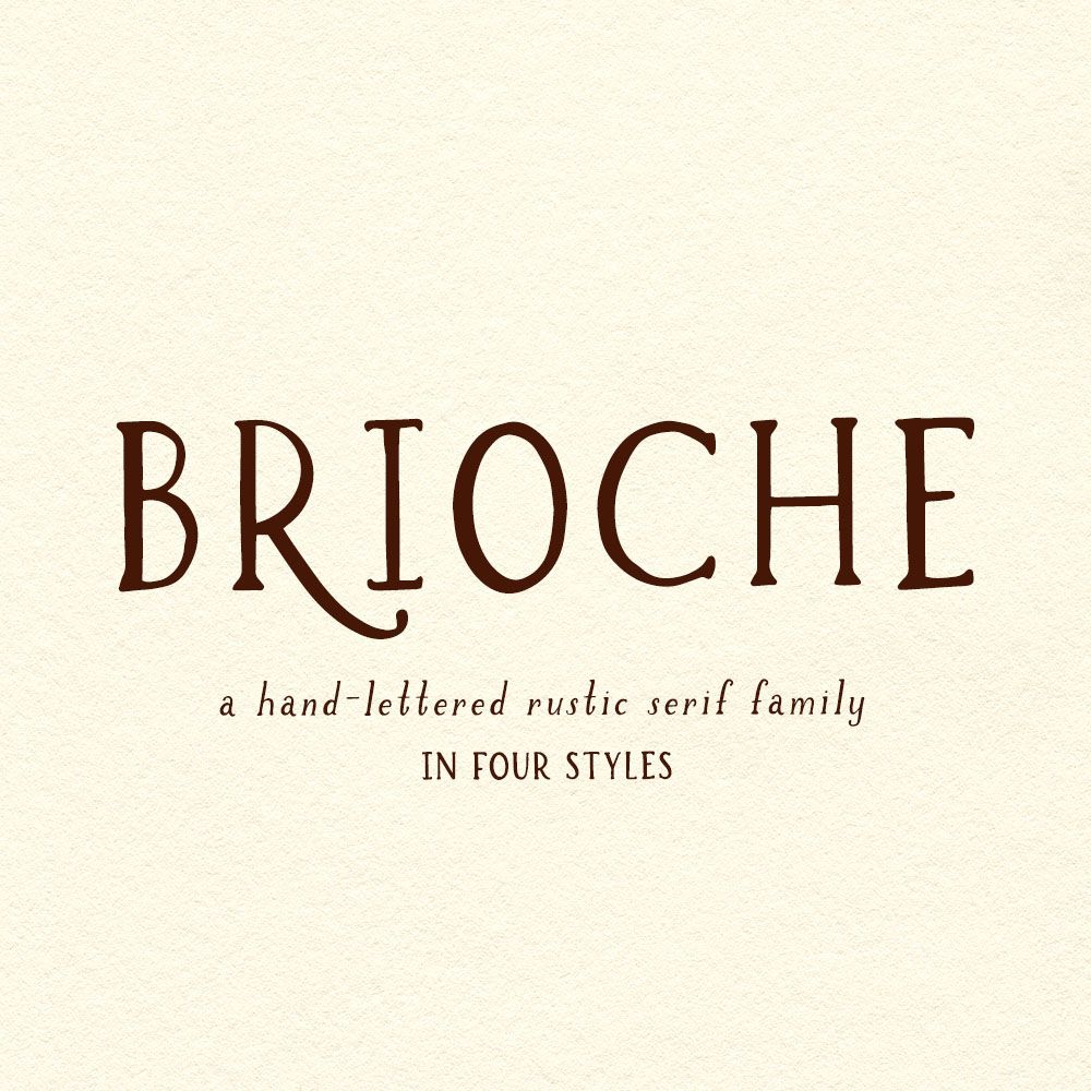 Brioche Rustic Serif Font Family|D-377368