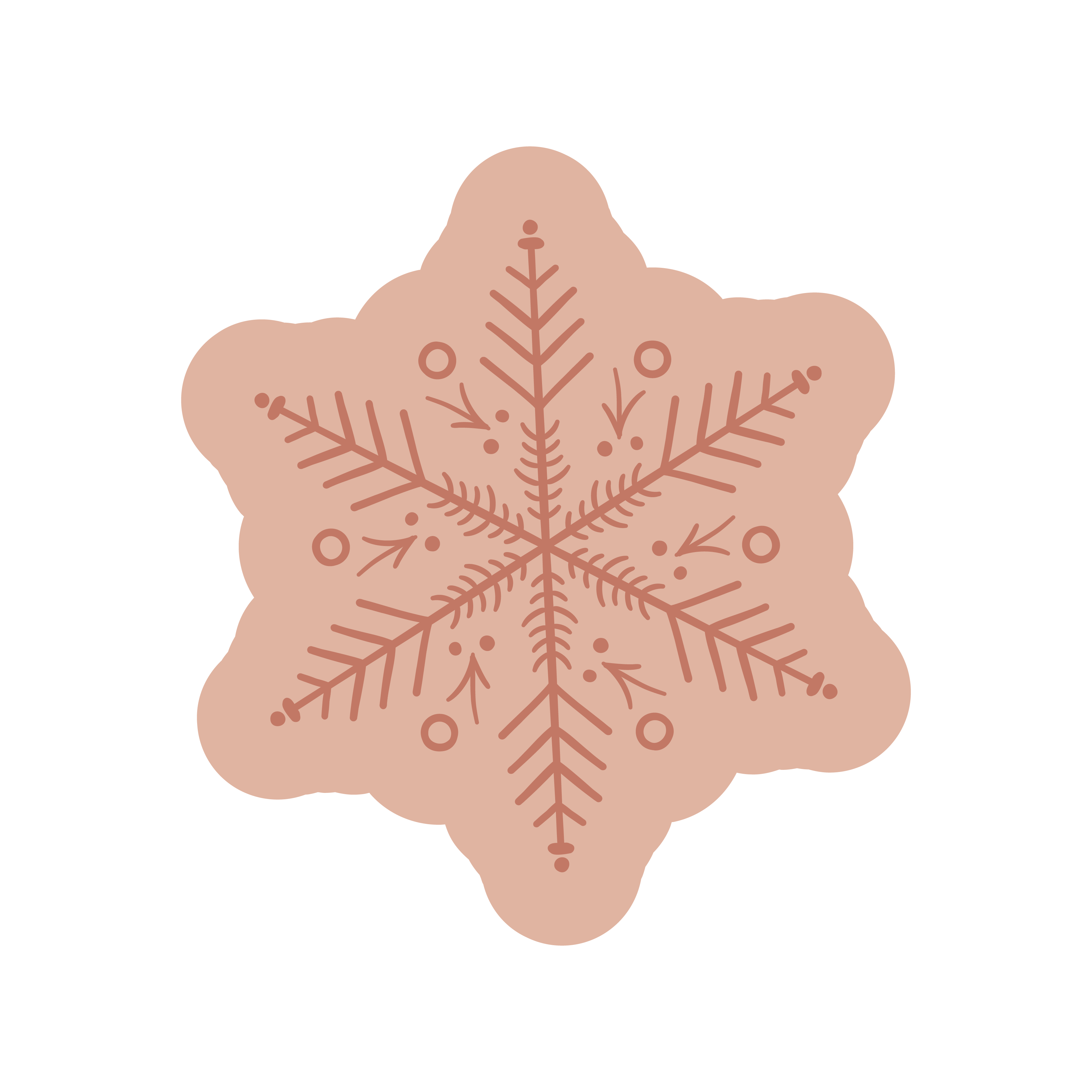 Peach Snowflake|D-1233693