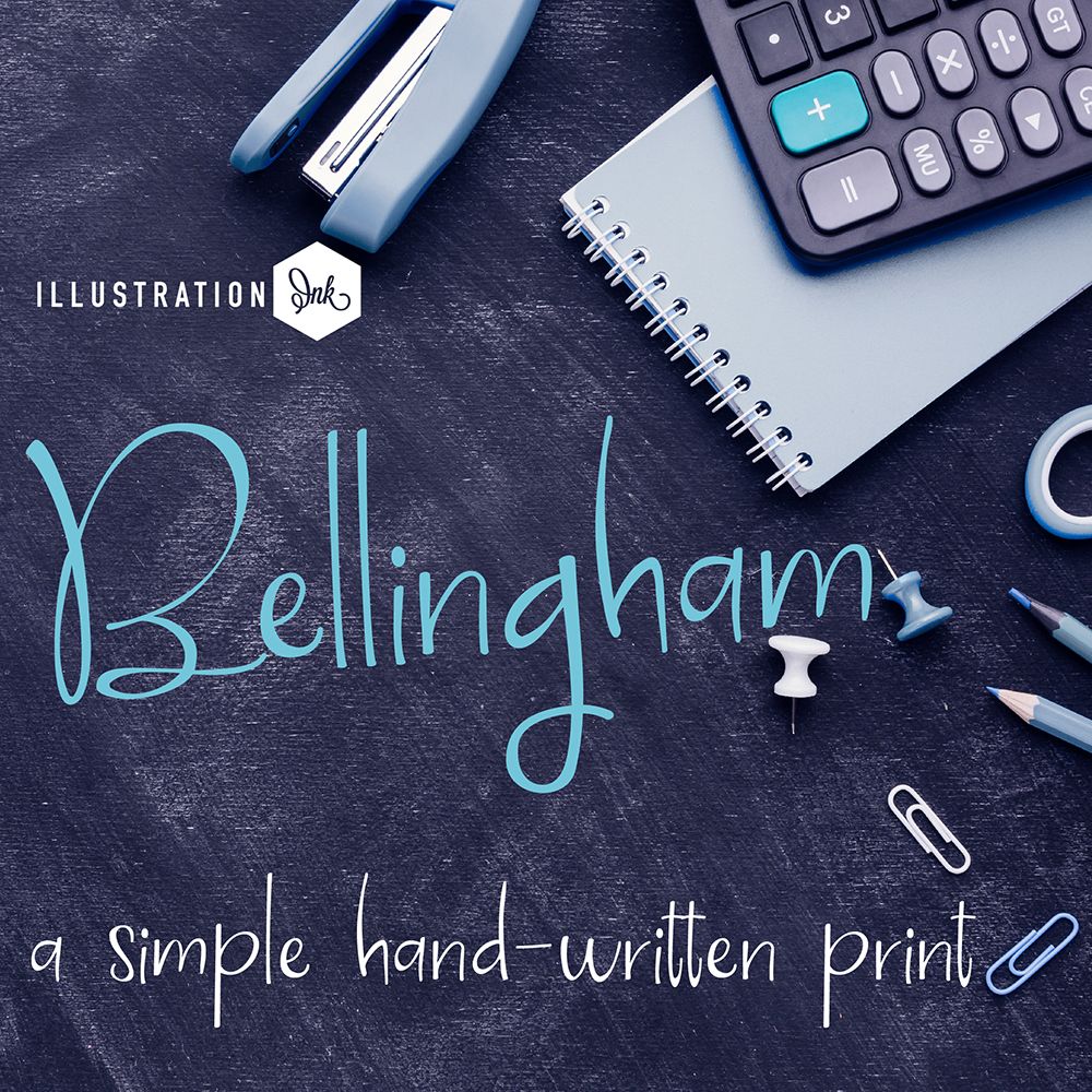 PN Bellingham Print Light|D-1233791