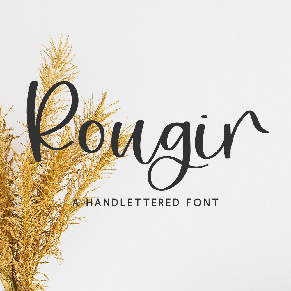 Rougir Script Font|D-377257