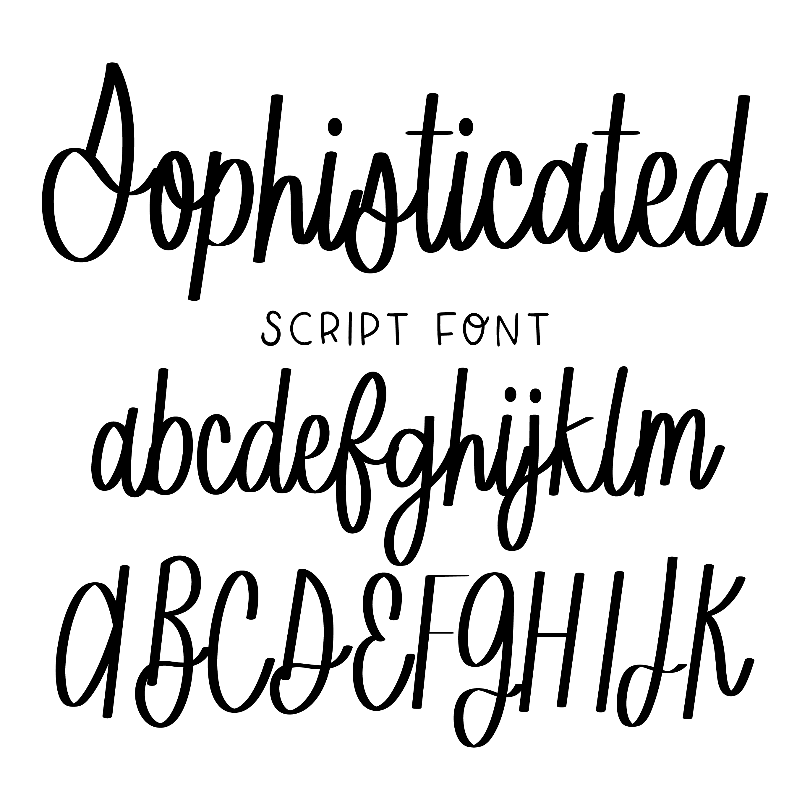 BFC Sophisticated Tall Vintage Script Cursive Font|D-1237137