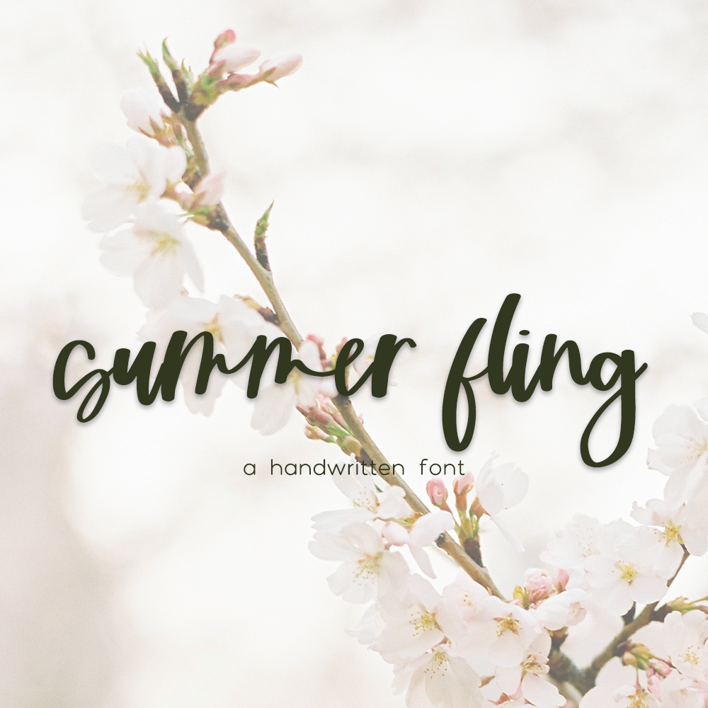 Summer Fling Script Font|D-370970