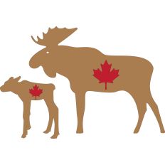 Maple Leaf Moose
