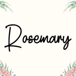Rosemary|D-1262861
