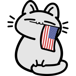 cute cat with american flag