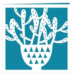 spotted succulent card|117905