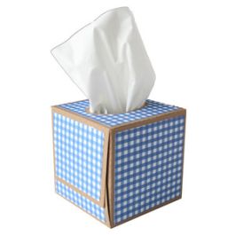 mini tissue box