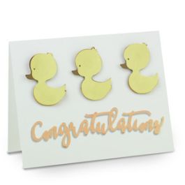 a2 congratulations baby duck card