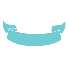swag banner