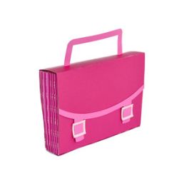 think pink - briefcase-cp