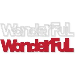 'wonderful' outline word|15549