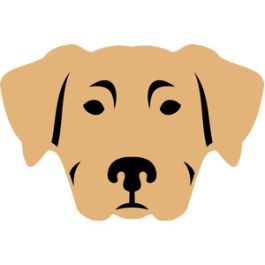 dog face labrador