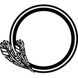 feathers circle frame