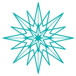 fancy christmas star