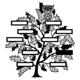 owl family tree