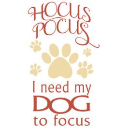 hocus pocus - my dog
