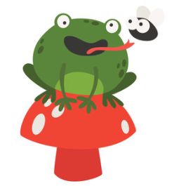 unfrogettable frog and fly