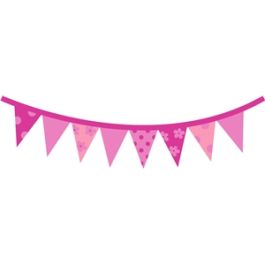 Pennant border