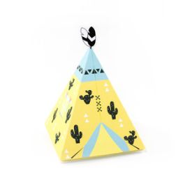 cactus teepee box