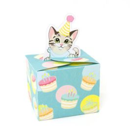 tabby cat birthday box