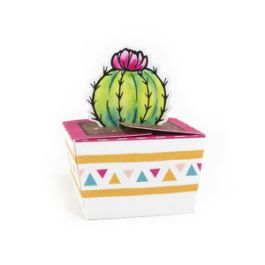 round cactus box