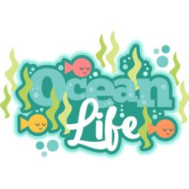 ocean life title