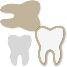 tooth card & tooth|20512