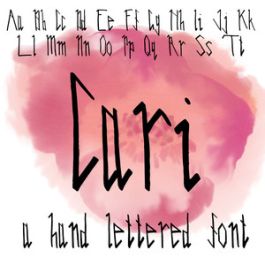 cari font
