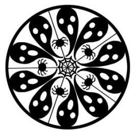 spider mandala
