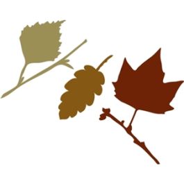 leaves & sticks set