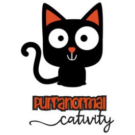 so franken cute - cat