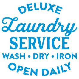 deluxe laundry service|250327