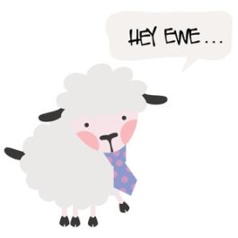 feeling sheepish - hey ewe