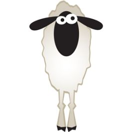 tall sheep