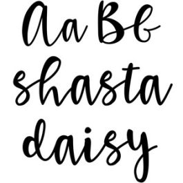 shasta daisy script font