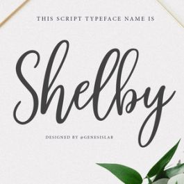 shelby script