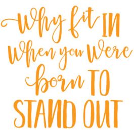 why fit in when you can stand out