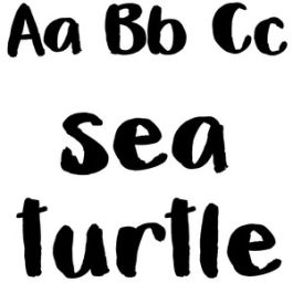 sea turtle font