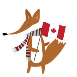 Canadian fox|269894