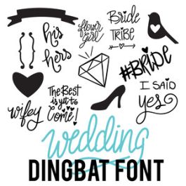 wedding dingbat font