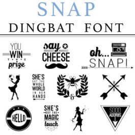 snap dingbat font|272545