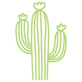 cactus doodle