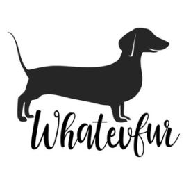 whatever - dog|274127