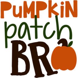 pumpkin patch bro