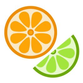 citrus wedge and slice