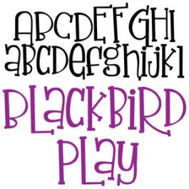 zp blackbird play