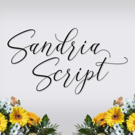 sandria script
